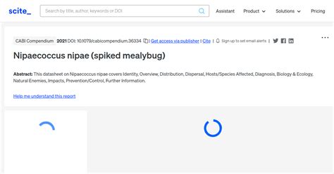 Nipaecoccus Nipae Spiked Mealybug