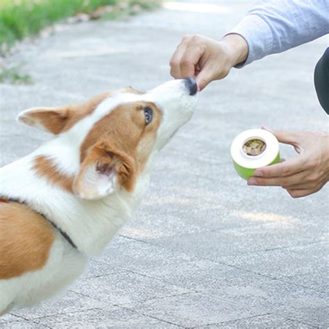 강아지 고양이 산책 휴대용 물통 물병 간식통 올인원 애견물통 티몬