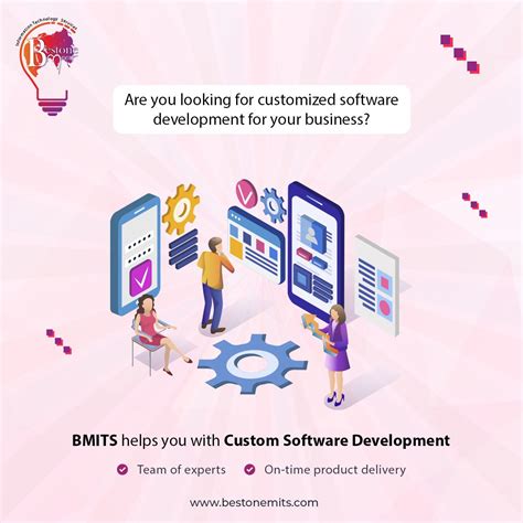 Bmits Customsoftwaredevelopment Webapplicationdevelopment