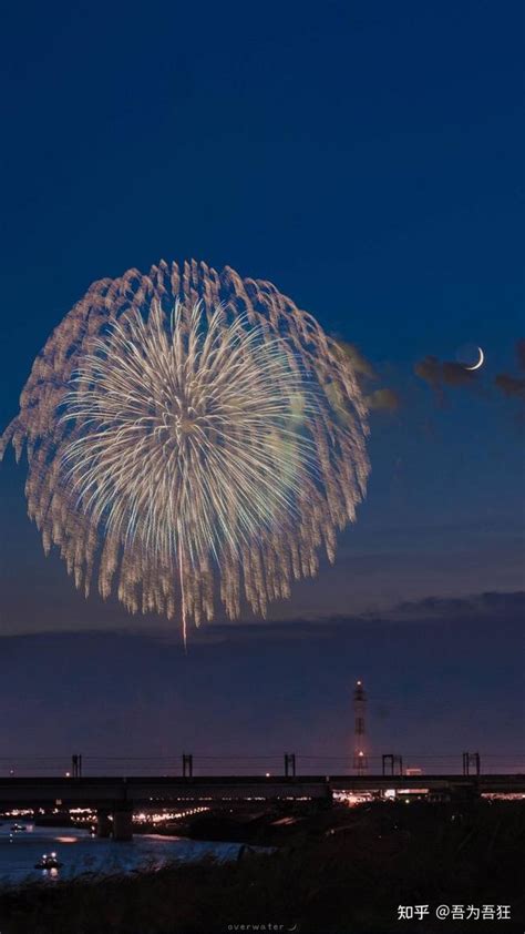 年少有为得有多幸运 知乎