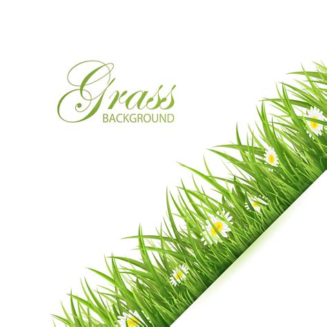 Premium Vector Abstract Background With Green Grass And Flowers