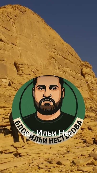 баскетбол теннис бейсбол хоккей футбол нхл кхл вхл Football