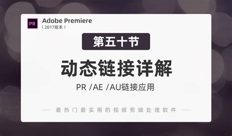 Pr2017 动态链接详解pr视频教程视达网