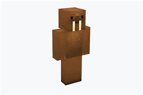 Minecraft Walrus Skin