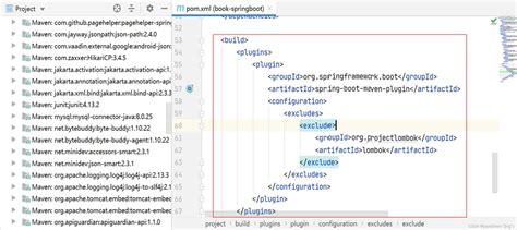 11 30 SpringBoot tomcat embed core CSDN博客