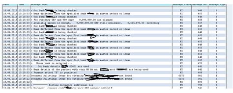 F110 Error 007 Error In Creating The Payment Doc Sap Community