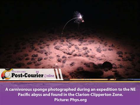 New Zealand Rethinks Opposition To Deep Sea Mining Post Courier