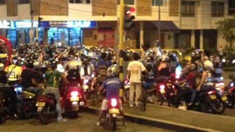 Comunicación Innata Los Humanos Pueden Entender A Los Simios Aunque No