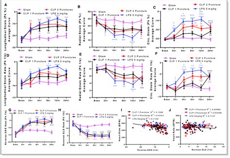 Speckle Tracking Derived Measurements Of Myocardial Deformation A