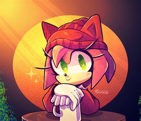 Sonic And Amy Sonic Boom Amy Rose Hedgehog Movie Sonic The Hedgehog Sonic Adventure Sonic