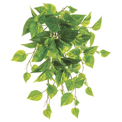 19 Ifr Pvc Uv Resistant Outdoor Hanging Artificial Pothos Leaf Plant