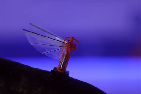 Turkish Defense Giant Aselsan Introduces Flapping Wing Nano Uav Daily