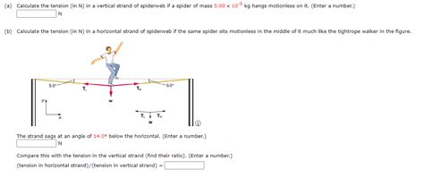 Solved A Calculate The Tension In N In A Vertical Strand Chegg Com