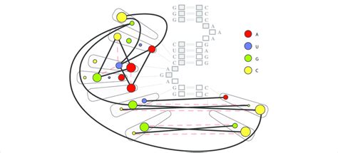 The Simplified Dependency Structure Found In The Data From Figure 1