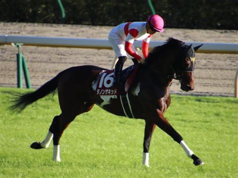 【中山記念】登録馬 ダノンザキッド、カラテなど17頭 競馬ニュース Netkeiba