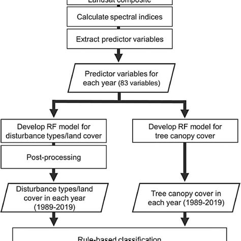 Processing Steps For Mapping Deforestation Forest Degradation And