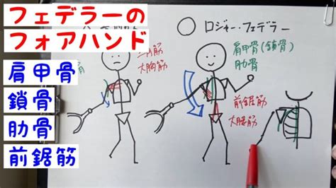 フェデラーのフォアハンドを分析する テニス動画まとめ