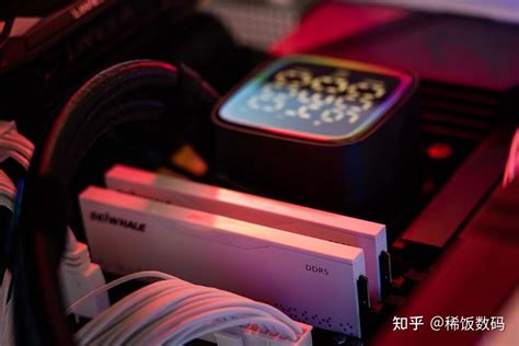 618装机必备大内存，479元的枭鲸审判者ddr5性价比竞技内存之选 知乎