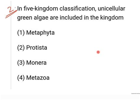 2in Five Kingdom Classification Unicellular Green Algae Are Included In