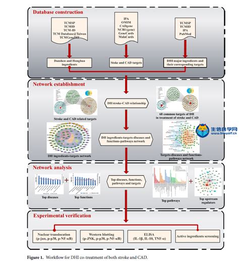 网络药理学揭示药物作用机制 生信自学网