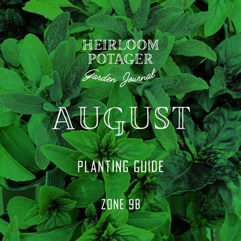 Seeds For Zone 9b At Evelyn Santos Blog