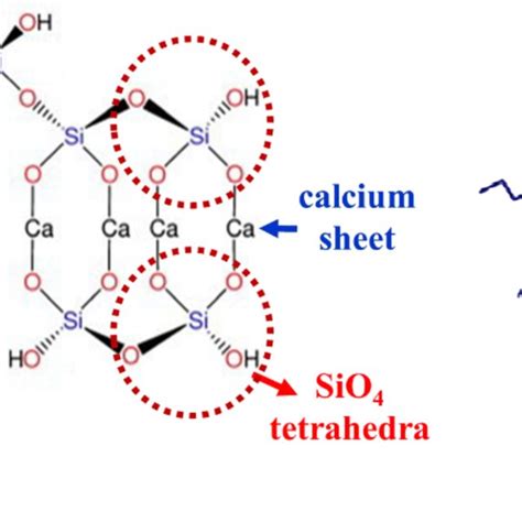 Schematic Of A The Basic C S H Unit And B Two Simplified C S H Modified Download Scientific