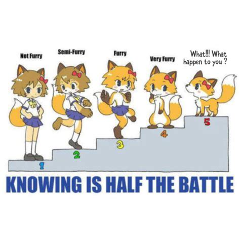 Furry Stages By Hallowenkittiy On Deviantart
