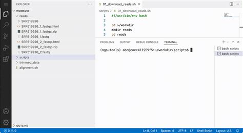 Visualisation Ngs Variant Analysis