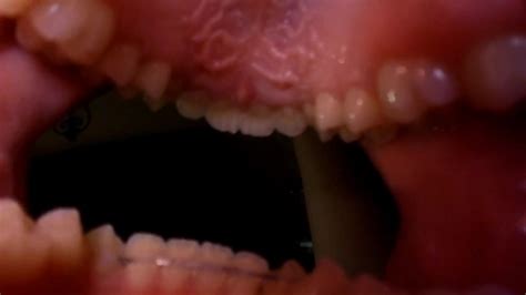 Pov Inside Of A Gay Mans Mouth