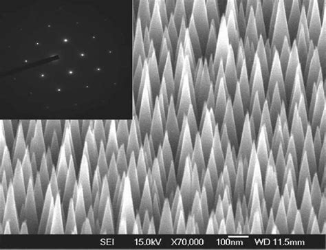 Figure 1 From Amorphous Carbon Coated Silicon Nanotips Fabricated By