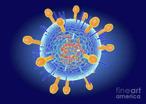 Hendra Virus Structure 1 Photograph By Roger Harrisscience Photo