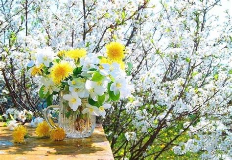 Лунный календарь огородника и садовода на апрель 2023 года таблица посевных дней