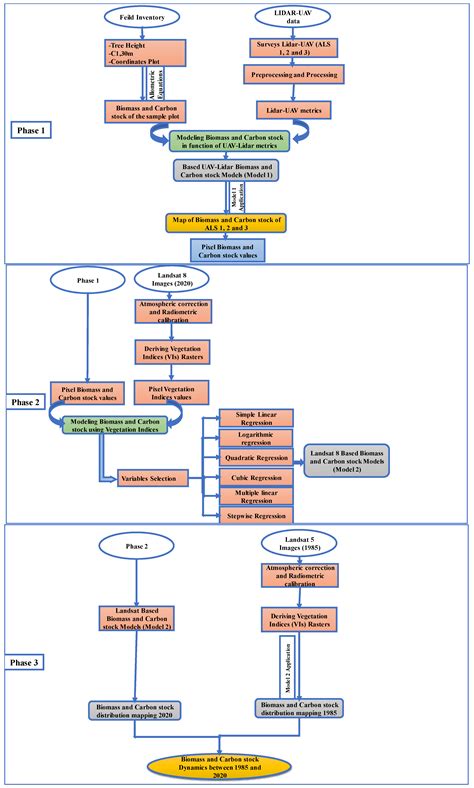 An Integrating Framework For Biomass And Carbon Stock Spatialization And Dynamics Assessment