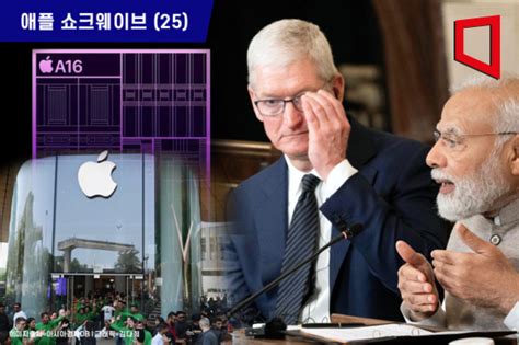 [애플 쇼크웨이브] 25 인도 아이폰 용 칩 생산 희망 고문