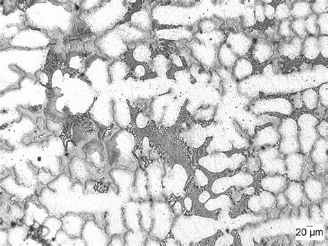 Metallography And Microstructure Analysis Analysis Thermodynamics