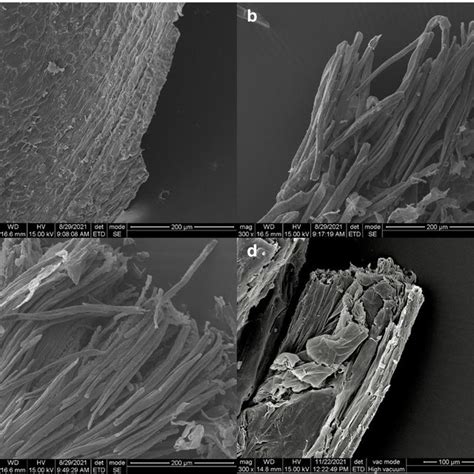 X Ray Diffraction Xrd Patterns Of Raw Corn Cob And Pretreated Corn