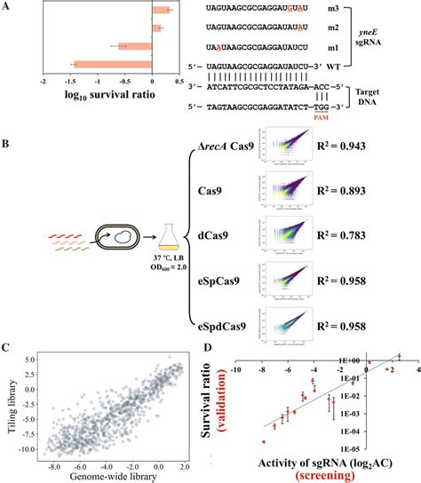 Reliability Validation Of Screening Experiments A Different Sgrna