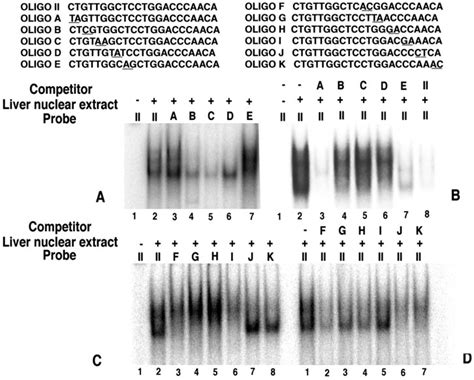 Identification Of The Nucleotides Within The Palindrome That Are