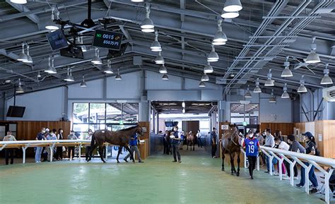 総括｜セレクションセール 2020｜競馬情報ならjra Van