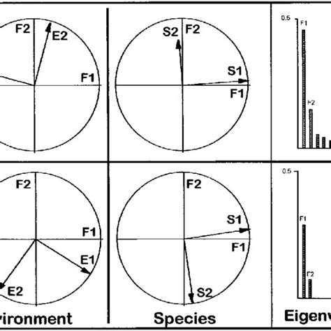 Relation Between Separate Analyses And Co Inertia Analysis Each Arrow