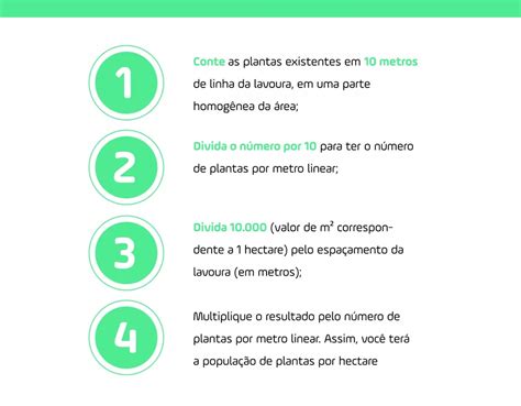 Os 3 Métodos Para A Melhor Produtividade De Milho Por Hectare