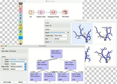Computer Program Information Treeviewer Random Forest Orange Png