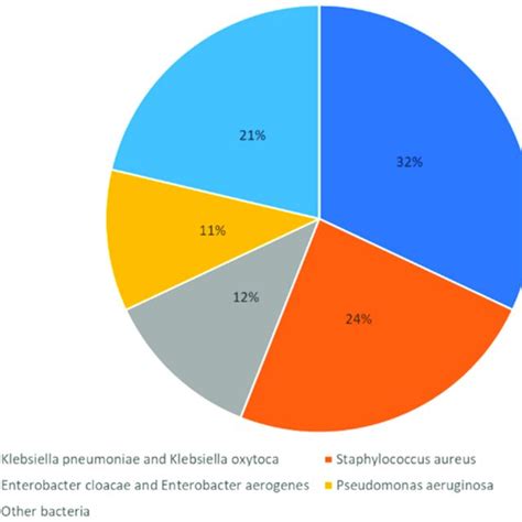 Most Frequent Causative Pathogens Of Bacterial Superinfections In