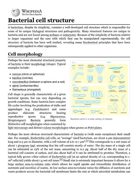 Bacteria Cell Structure Pdf