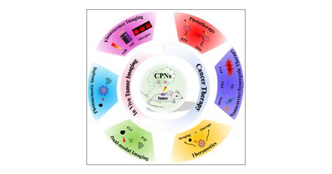 Conjugated Polymer Nanoparticles For Tumor Theranostics Biomacromolecules