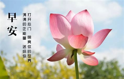 早安优美语句早安心语优美的语句早安心语优美的图片大山谷图库