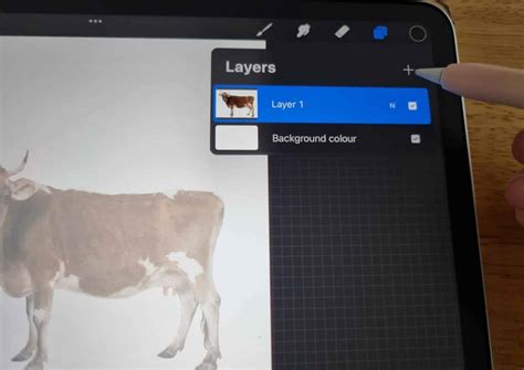 How To Trace On Procreate In Easy Steps Artsydee Drawing Painting Craft Creativity