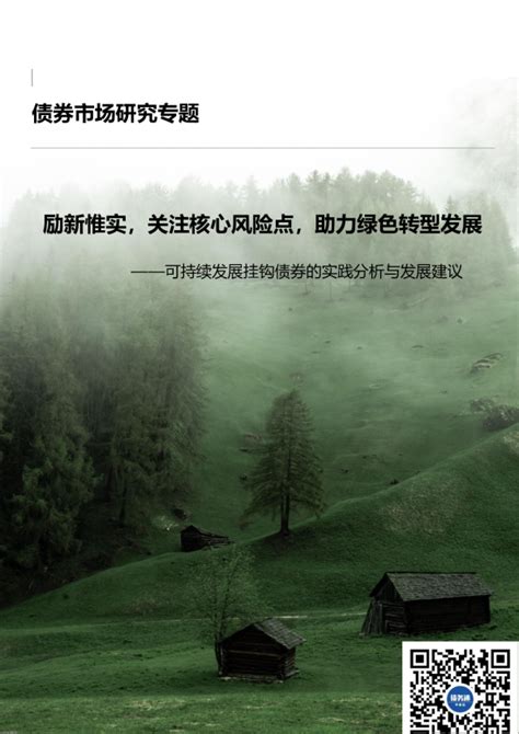 可持续发展挂钩债券的实践分析与发展建议：励新惟实，关注核心风险点，助力绿色转型发展
