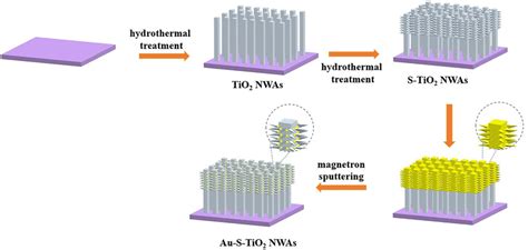 Schematic Diagram Of The Synthesis Process Of Au S Tio2 Nwas Download