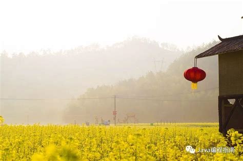 mybatis 详解 一级缓存二级缓存 灰信网软件开发博客聚合